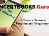 Difference Between Program And Programme Their Similarities Ncert Books