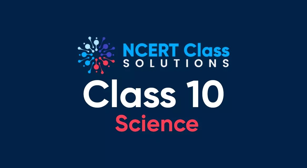 Science Chapter 15 Our Environment Class 10 NCERT Solutions with PDF ...