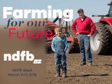 Ndfb News