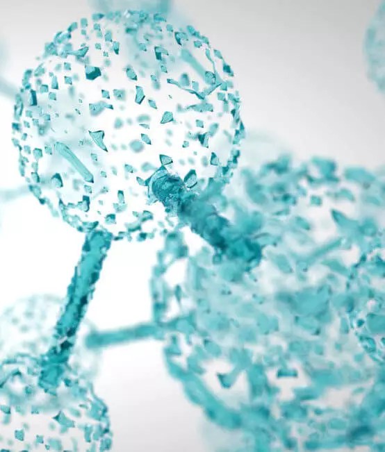 Biochemical Assays Development, Biochemical Analysis | NorthEast BioLab