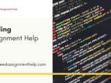 Coding Assignment Help Coding Homework Help