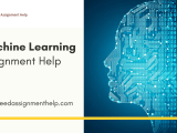 Machine Learning Assignment Help Need Assignment Help