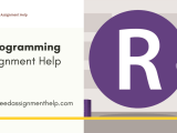 R Programming Assignment Help Need Assignment Help