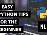 7 Easy Python Tips For The Beginner Nelson Lim