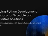 Python Development Services Python Development Company Neosoft