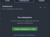 Github Codespaces Neurodesk