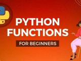 What Are Python Functions Explained For Beginners Newdev Blog
