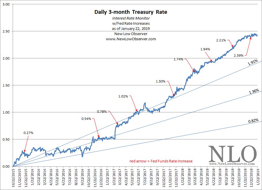 Interest Rate Monitor: January 2019 | NEW LOW OBSERVER