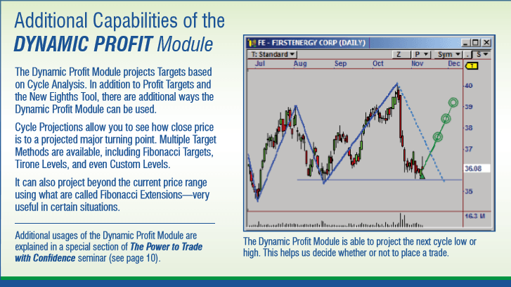 Dynamic Profit Module | Nirvana Systems Inc.