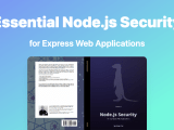 Essential Node Js Security