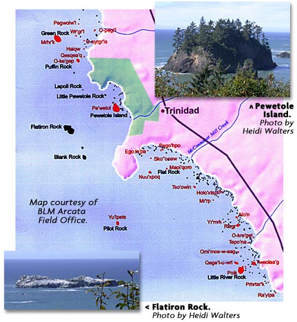 Trinidad Rocks ~ Important Bird Area | Trinidad Harbor and Pier