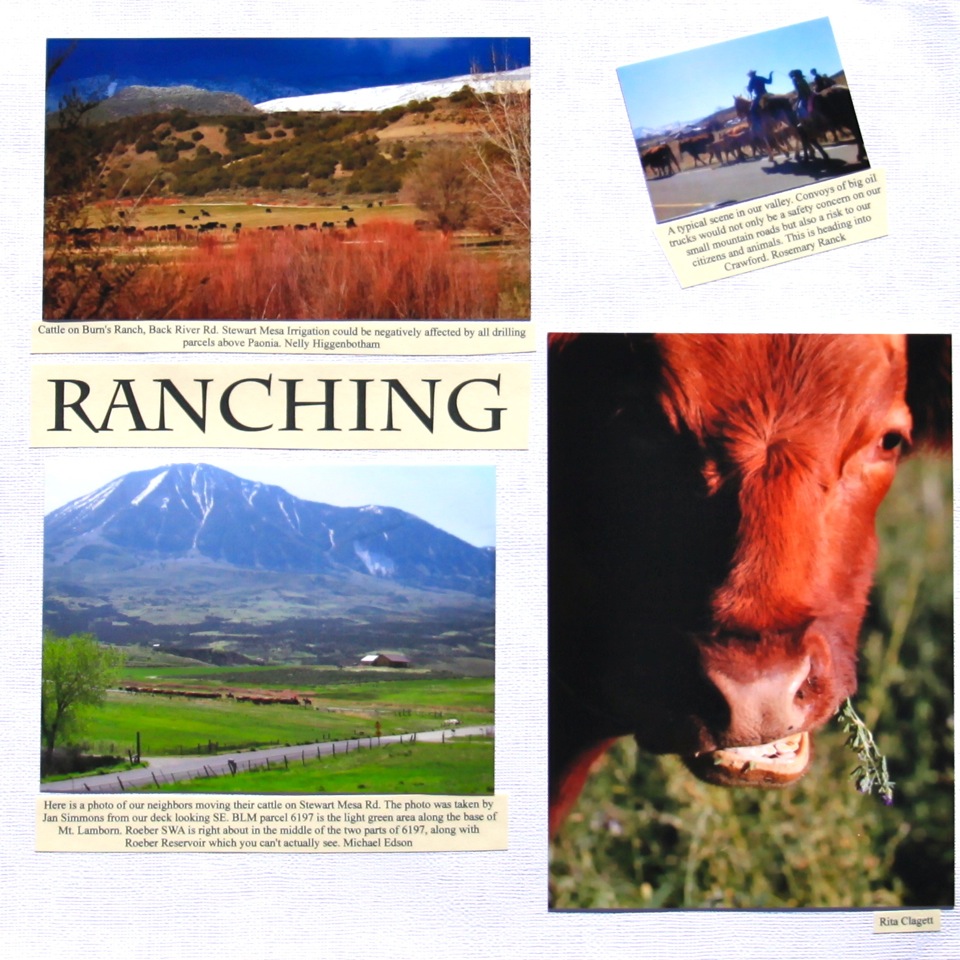 Princess Beef: Combining Heritage with Holistic Innovation | North Fork ...