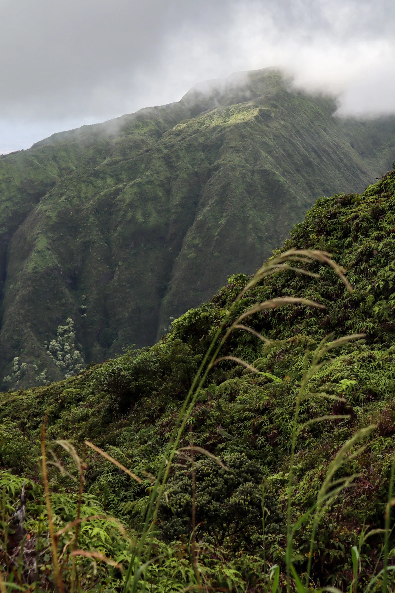 Waihee Ridge Trail: Why it's the Maui Hike you Absolutely Can't Miss!