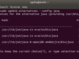 Ubuntu How To Set Default Java Version On Ubuntu Onlinetutorialspoint