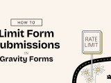 How To Limit Form Submissions In Gravity Forms Oopspam Blog