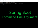 Command Line Runner Spring Boot Example At Dennis Penn Blog