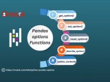 Exploring Python Pandas Options Your Data Power Tool Oraask