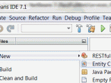 Creating Restful Web Services In Netbeans 7 Part 2