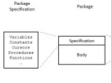 Oracle Pl Sql Package