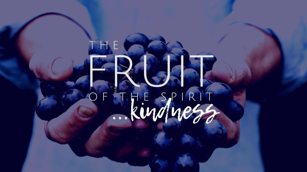 The Fruit Of The Holy Spirit What Is Kindness Osprey Observer the-fruit-of-the-holy-spirit-what-is-kindness-osprey-observer