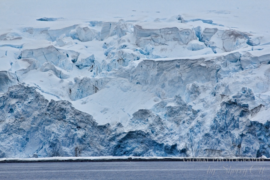 ICE PATTERNS | Eco Buzzz