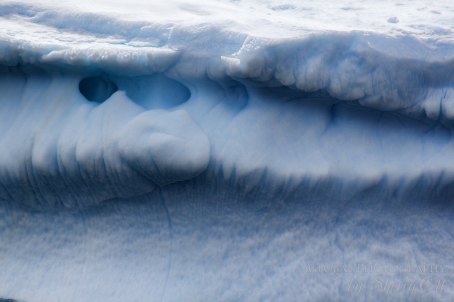 ICE PATTERNS | Eco Buzzz