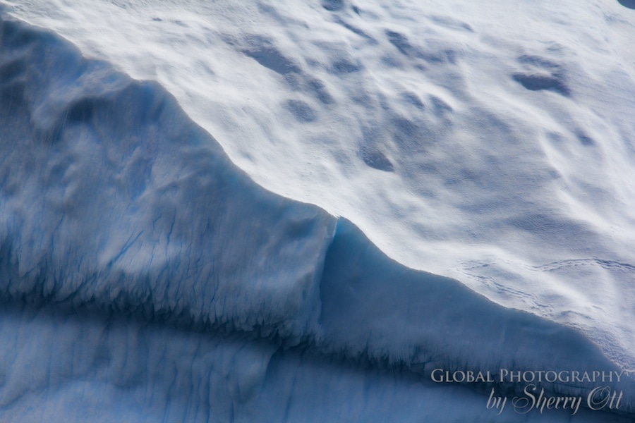 ICE PATTERNS | Eco Buzzz