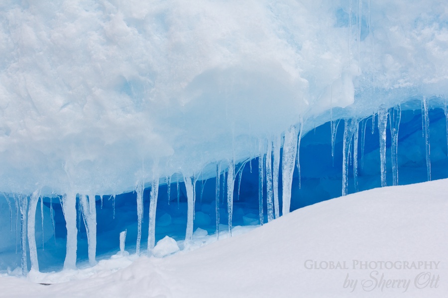 ICE PATTERNS | Eco Buzzz