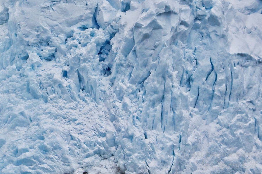 ICE PATTERNS | Eco Buzzz