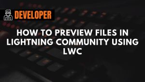 How to preview files in Lightning Community using LWC » PantherSchools
