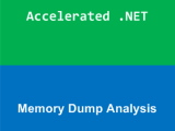 Online Training Accelerated Net Memory Dump Analysis Software