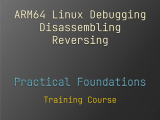 Practical Foundations Of Arm64 Linux Debugging Disassembling