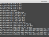 Basic Linux Commands For Linux Terminal Beginners Pcsteps