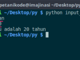 Belajar Python Cara Mengambil Input Dan Menampilkan Output