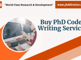 Buy Phd Code Writing Service System Development Coding Work