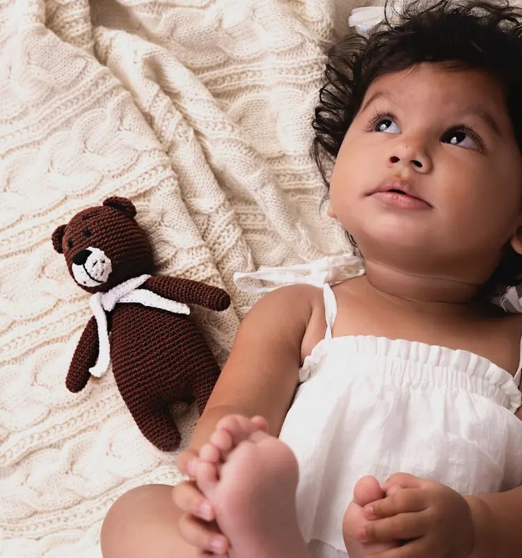 Brown Bear Phooldhaage