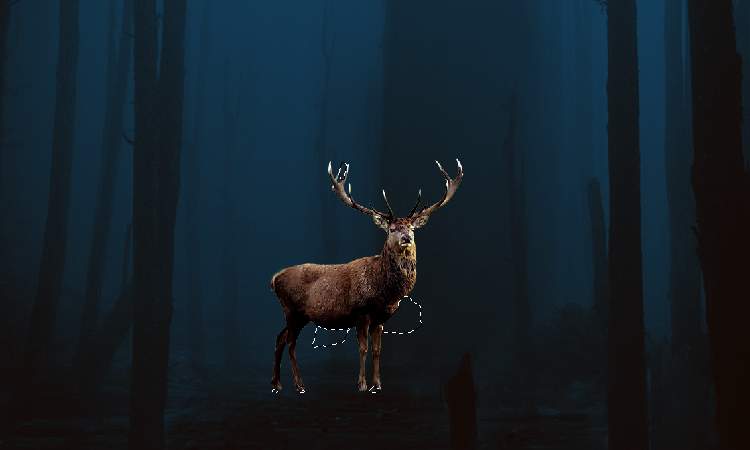 How to Create a Fantasy Deer Photo Manipulation With Adobe Photoshop ...