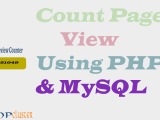 Simple Page View Counter Using Php And Mysql Phpcluster
