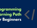 Programming Learning Path For Beginners Phpcluster