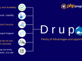 Things About Drupal What Makes It An Ideal Cms Platform