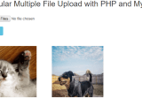 Angular Multiple File Upload With Php And Mysql Phpzag Com