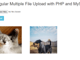 Angular Multiple File Upload With Php And Mysql Phpzag Com