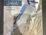 Objects First With Java A Practical Introduction Using Bluej 6th