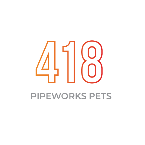 Pipeworks Studios - We Build to Play