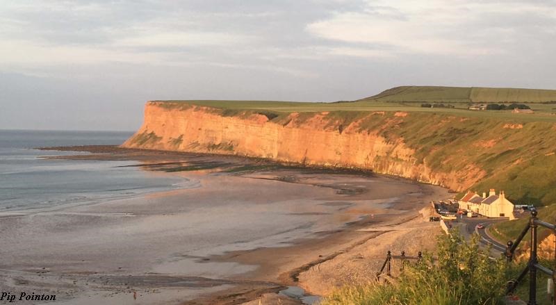 Saltburn instead of Scotland | Pip's Patch