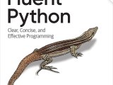 Fluent Python Pl Courses