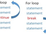 For Loop In Java Tutorial