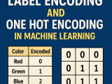 Label Encoding And One Hot Encoding In Machine Learning Postnetwork