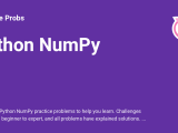 Python Numpy Practice Probs