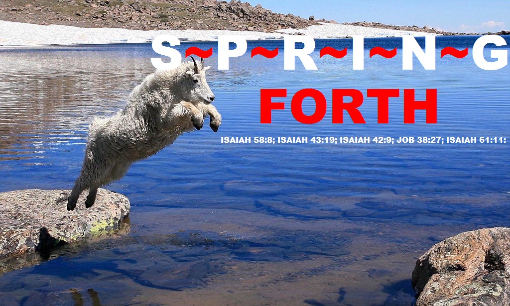 MAY 2017 PROPHECY: MY MONTH OF SPRING FORTH TO MY HIGH PLACES ...